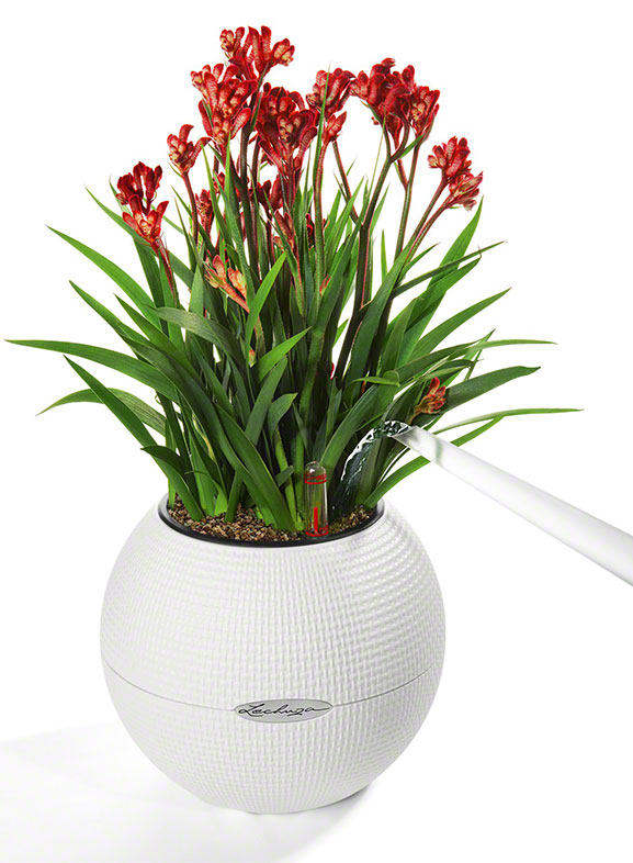 LECHUZA-PURO Color 20 white All-in-One Set
