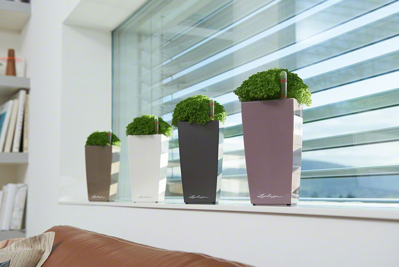 Mini Cubi with water level indicator